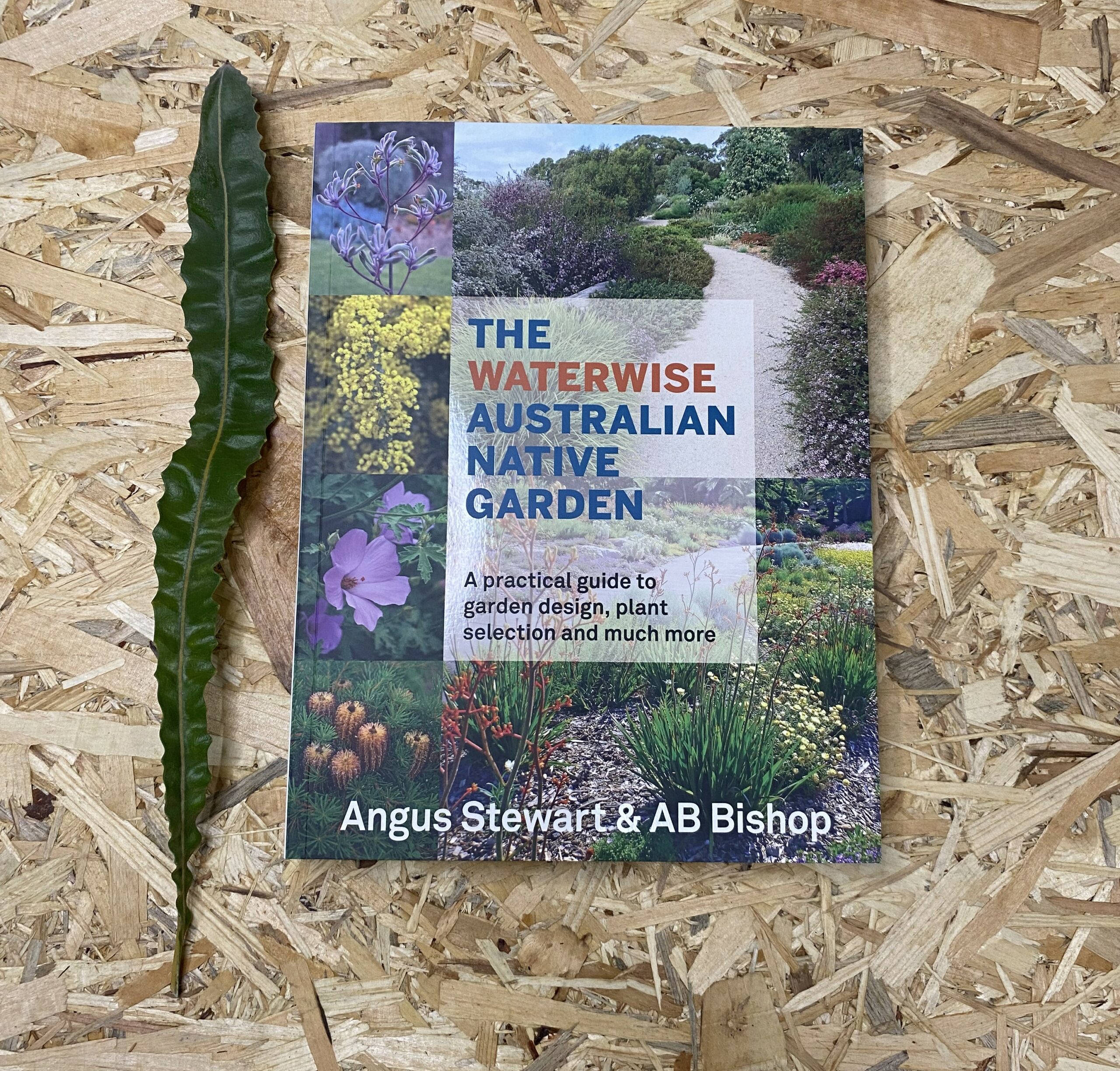 Waterwise Australian Native Gardens – With Native Plants