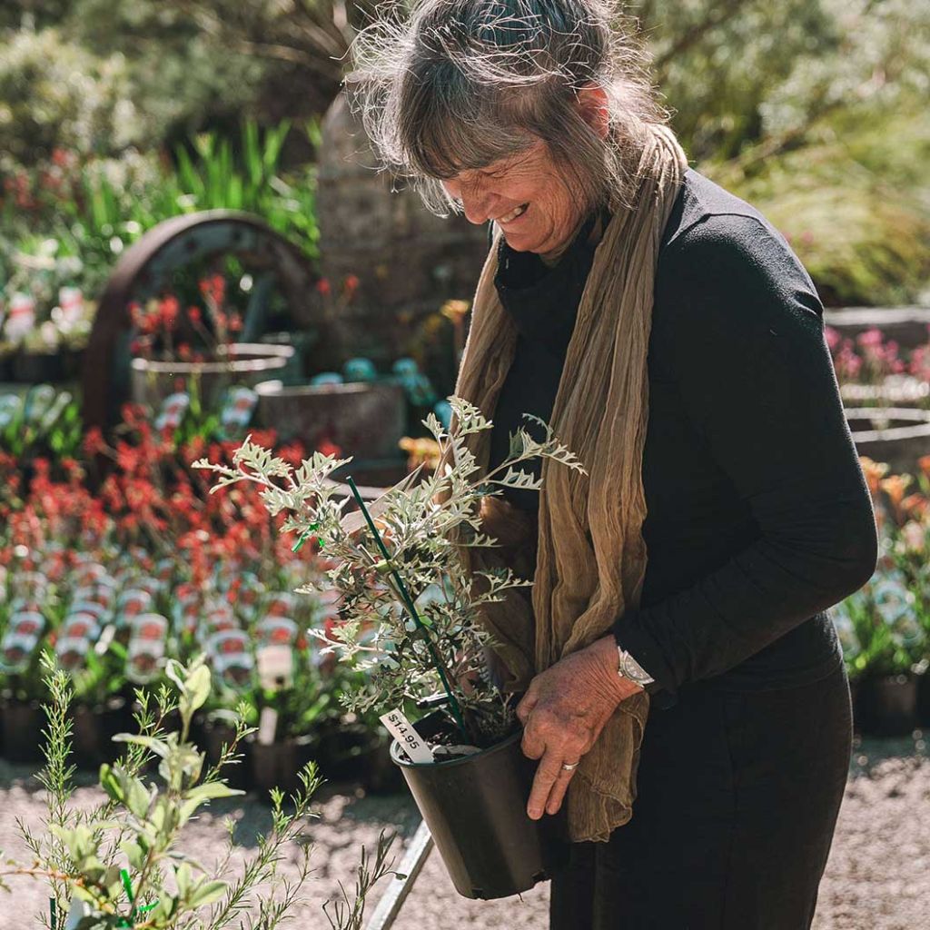 Australia's Largest Native Plant Nursery | Kuranga Mount Evelyn