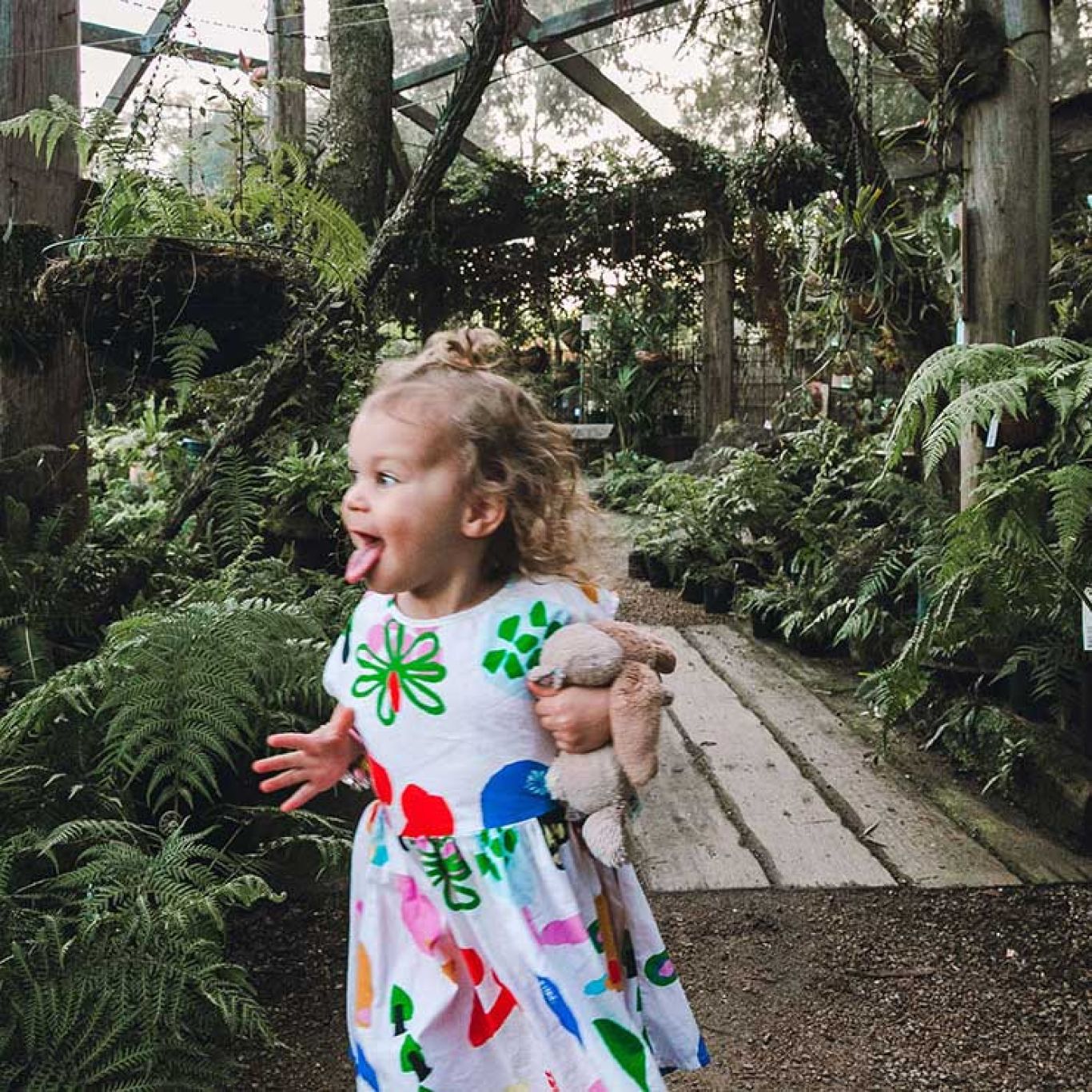 Australia's Largest Native Plant Nursery | Kuranga Mount Evelyn