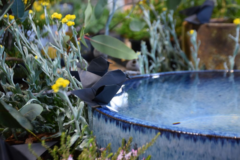 Melbourne International Flower & Garden Show (MIFGS) - Kuranga Native ...