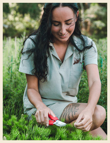 Our Story - Kuranga Native Nursery