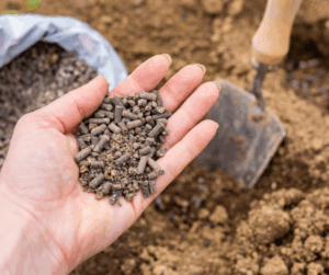 Native Plant Fertiliser Australia: What You Need - Kuranga Native Nursery