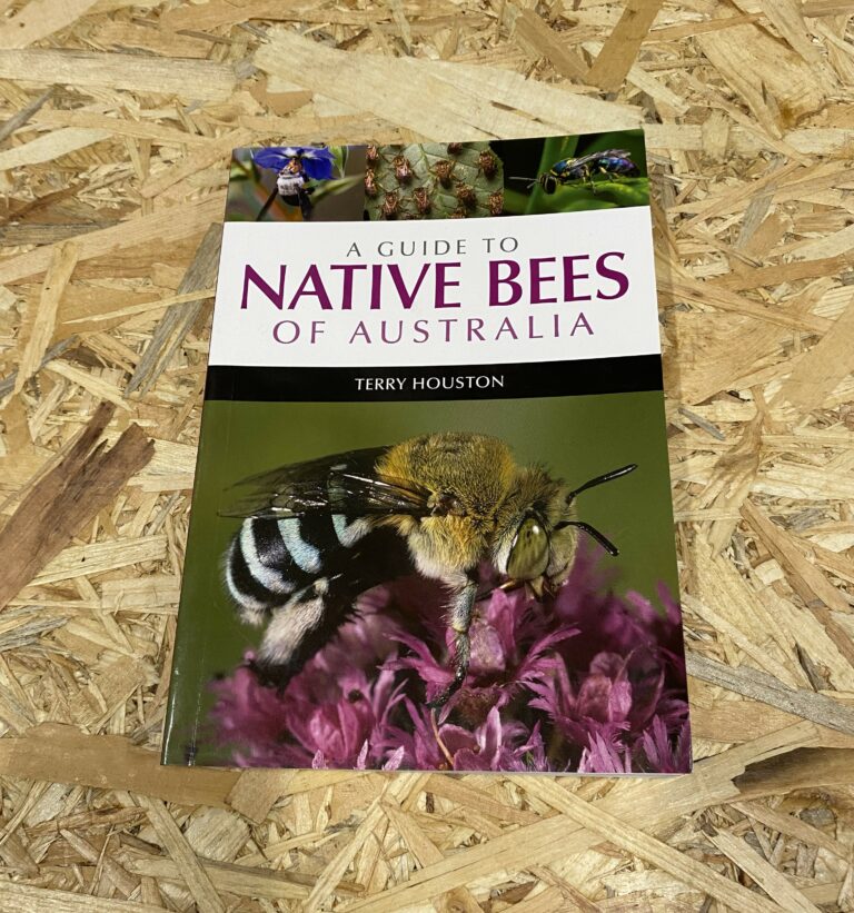 A Guide to Native Bees of Australia | Discover Pollinators